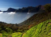 Munnar 2019, #2 places to visit in kerala, top things to do, reviews ...
