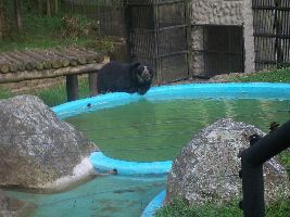 Venezuela Tour Place | Best Tourist Place to visit in Venezuela ...